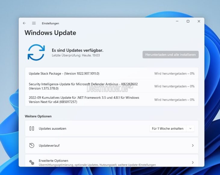 Update Stack Package 1022.907.1011.0 für Windows 11 25201 [Update: Auch ...