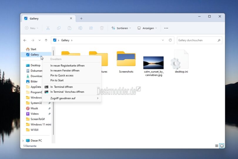 Windows 11 Datei Explorer mit Galerie (Katalog) - Werden die ...