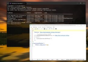 Winget (Windows Package Manager) 1.6.2291 als zweite Preview - Deskmodder.de