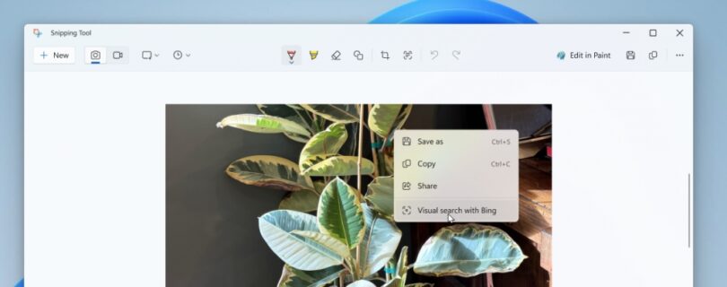 Snipping Tool is equipped with QR code and emojis - Paint Cocreator is ...