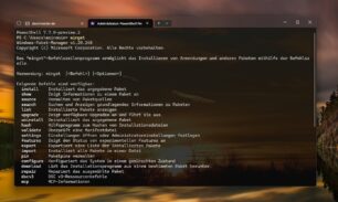 WinGet (Windows Package Manager) 1.29.240 (Update: 1.29.250) als ...